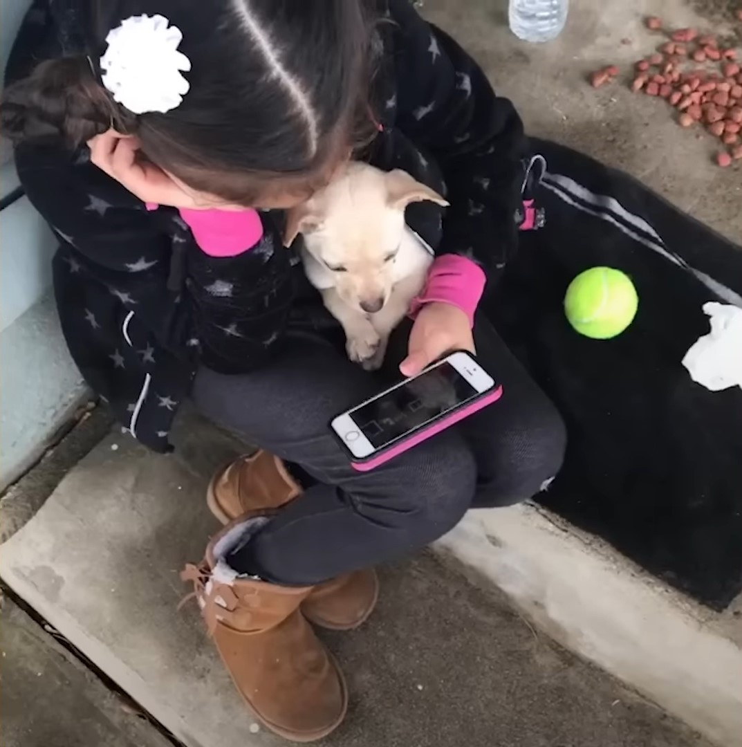 California Teen's Stealthy Rescue of a Stray Puppy Captures Hearts