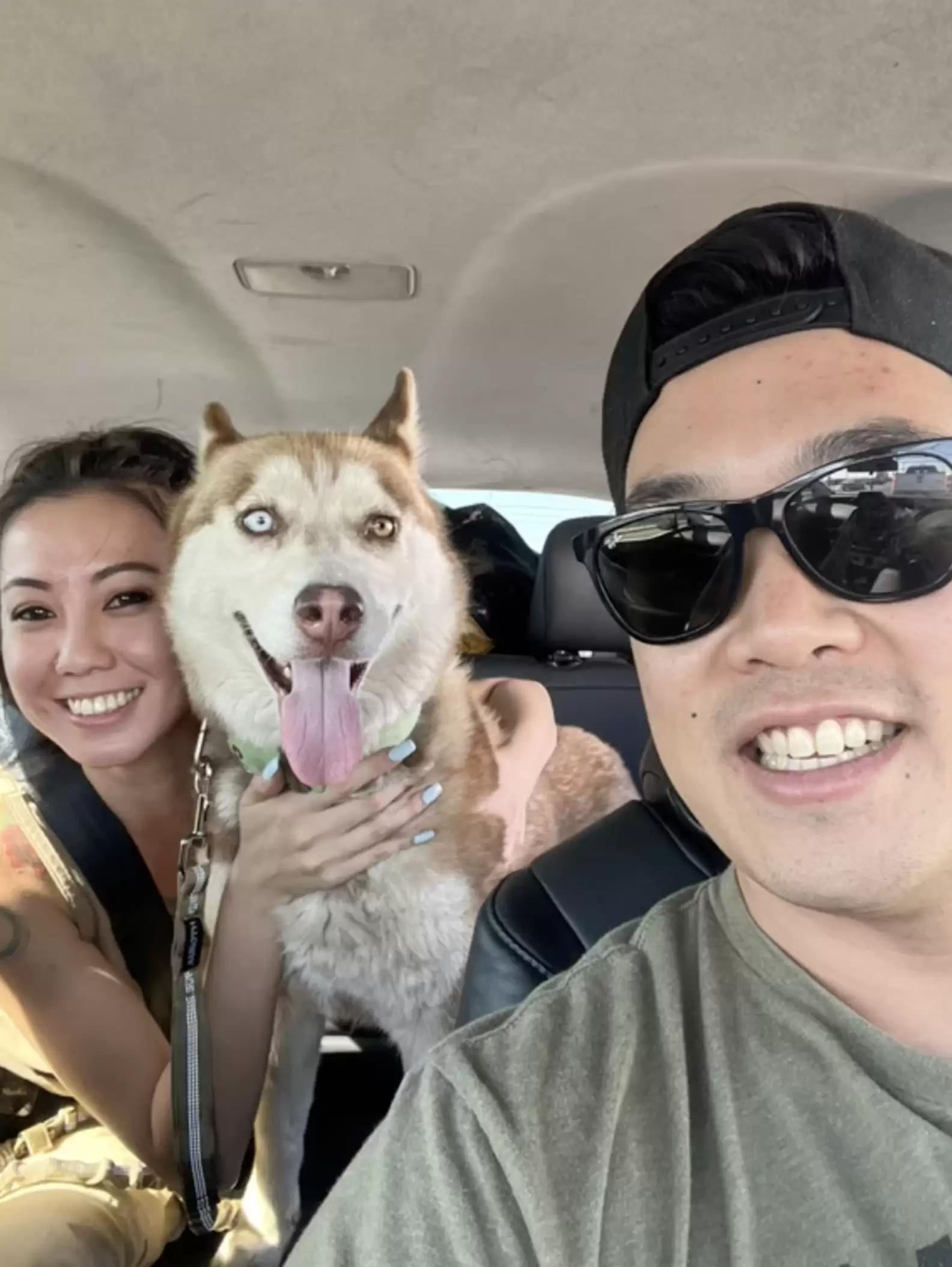 Discover the Unexpected: How a Family's New Dog Revealed a Stunning Secret
