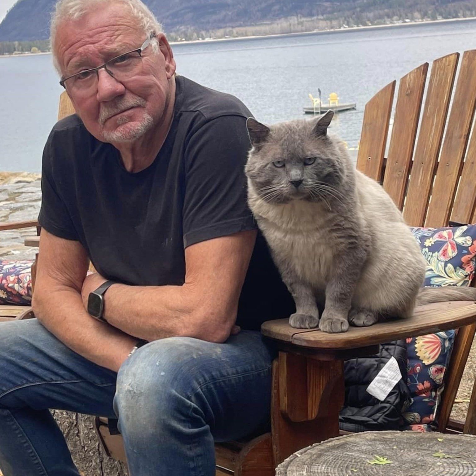 From Averse to Awe: How a Grumpy Cat Captured a Man’s Heart
