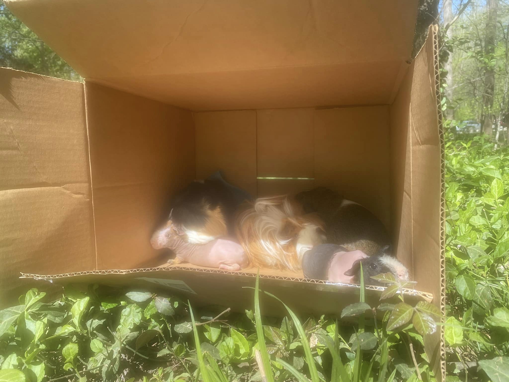 Mystery on the Trail: Runner Stumbles Upon Unexpected Treasure