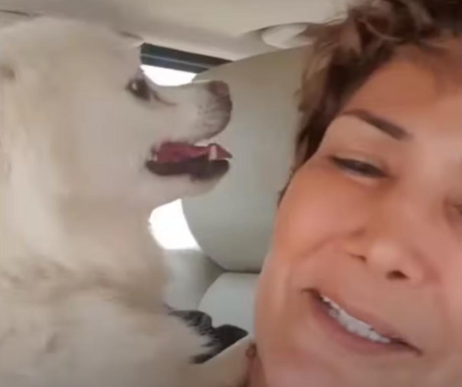 A Dog's Hope: From Desperation on the Streets to a Loving Home