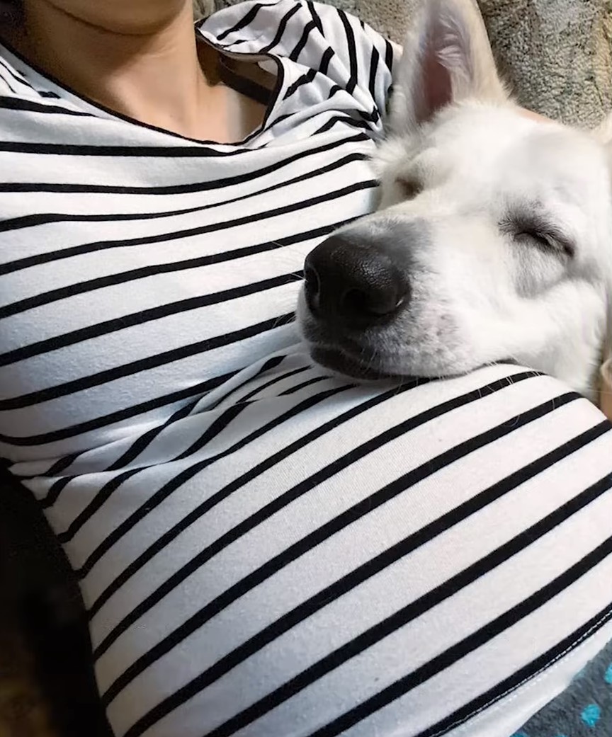 Discover How a Family Dog Became a Guardian Angel for His New Baby Sister