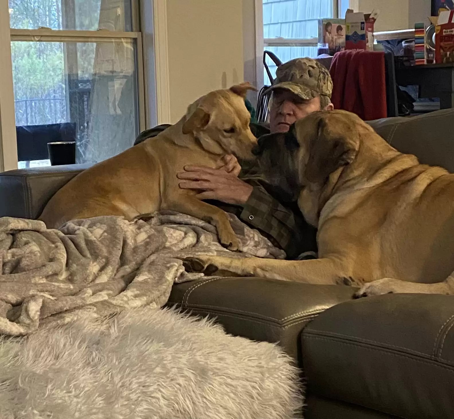 Discover the Man Who Turns Every Dog's Frown Upside Down with His ...