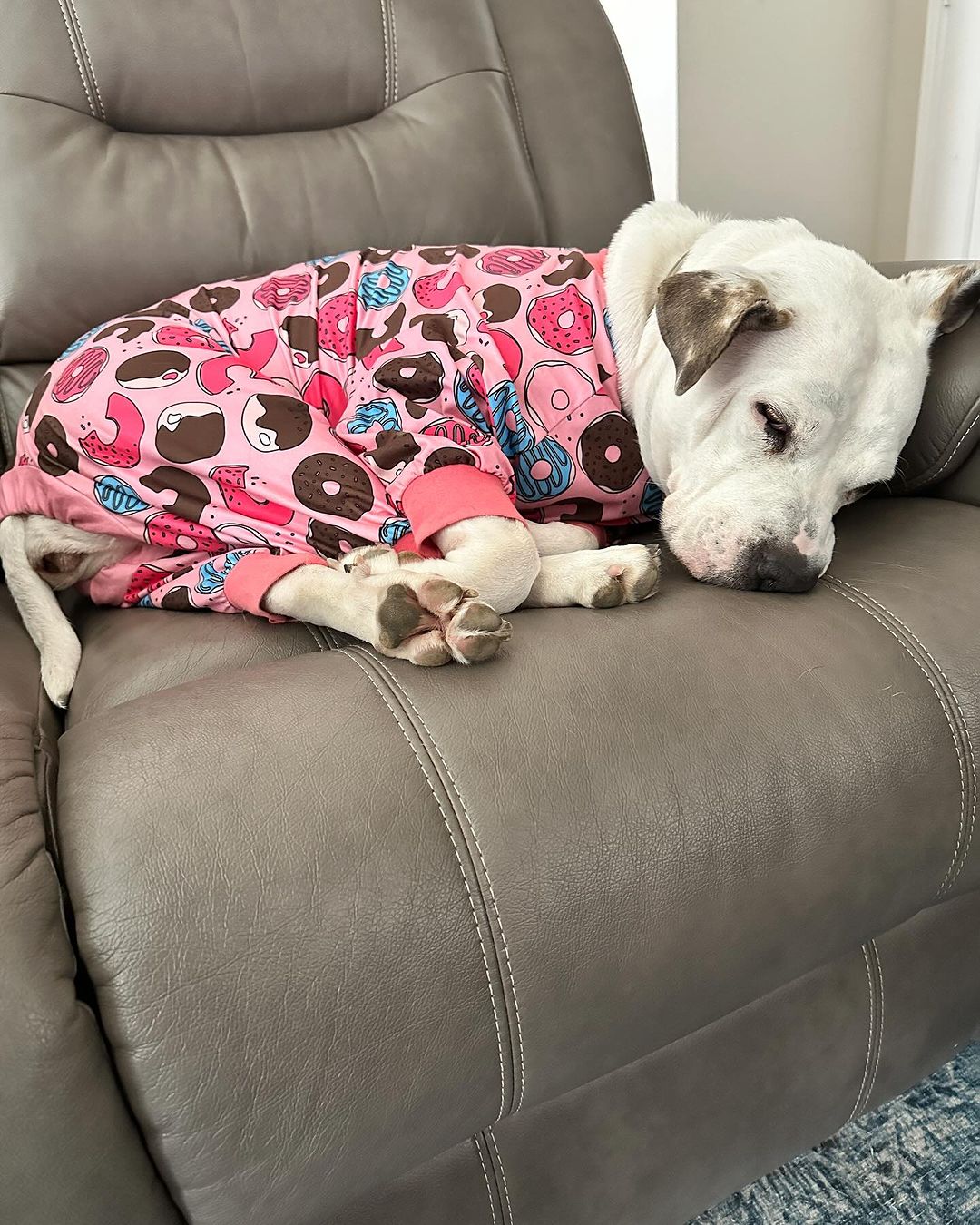 From Shelter Shadows to Sunshine: Dixie Rae's Journey to Joy