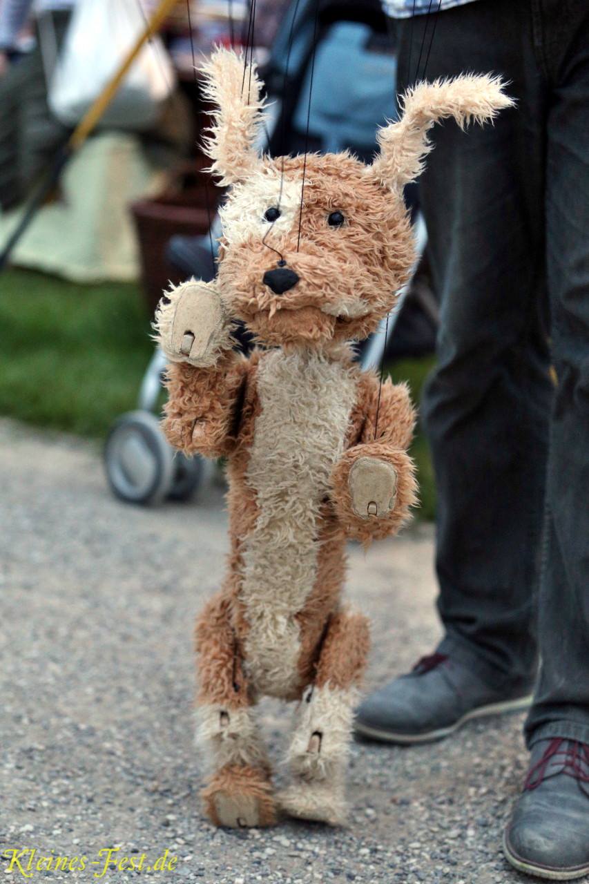 Man and His Dog Stumble Upon an Astounding Sight That Leaves Onlookers ...