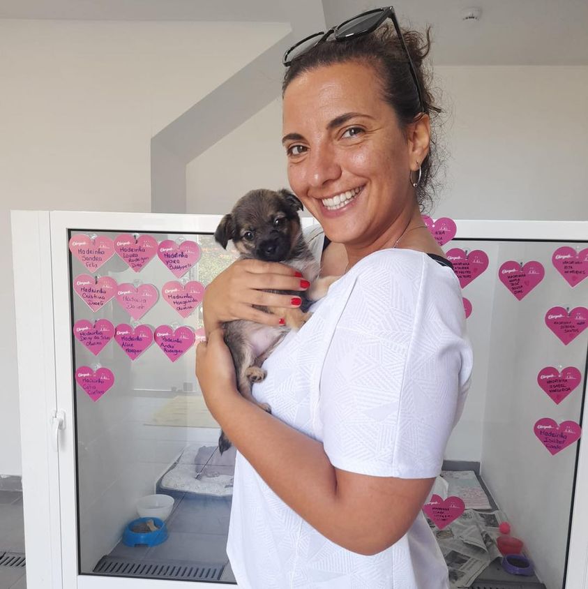 Rescue Mission: Frightened Mother Dog and Her Pups Find Hope and Love