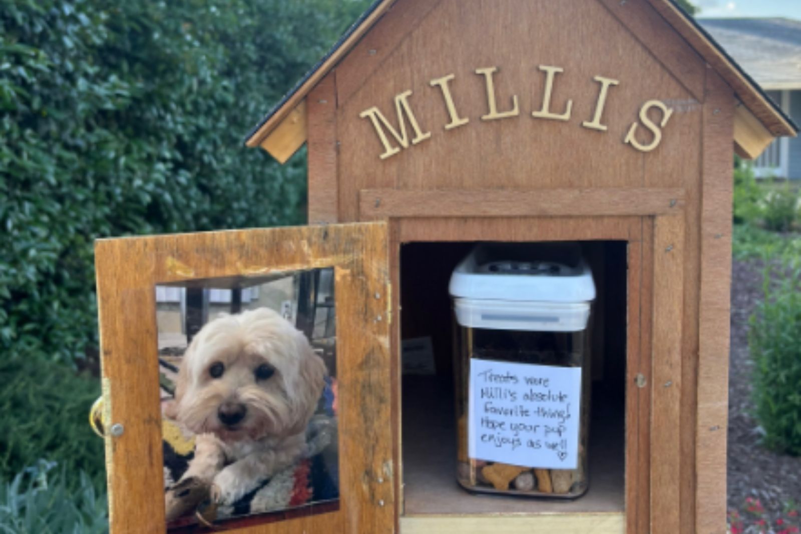 The Emotional Tale of a Dog's Legacy That Will Tug at Your Heartstrings