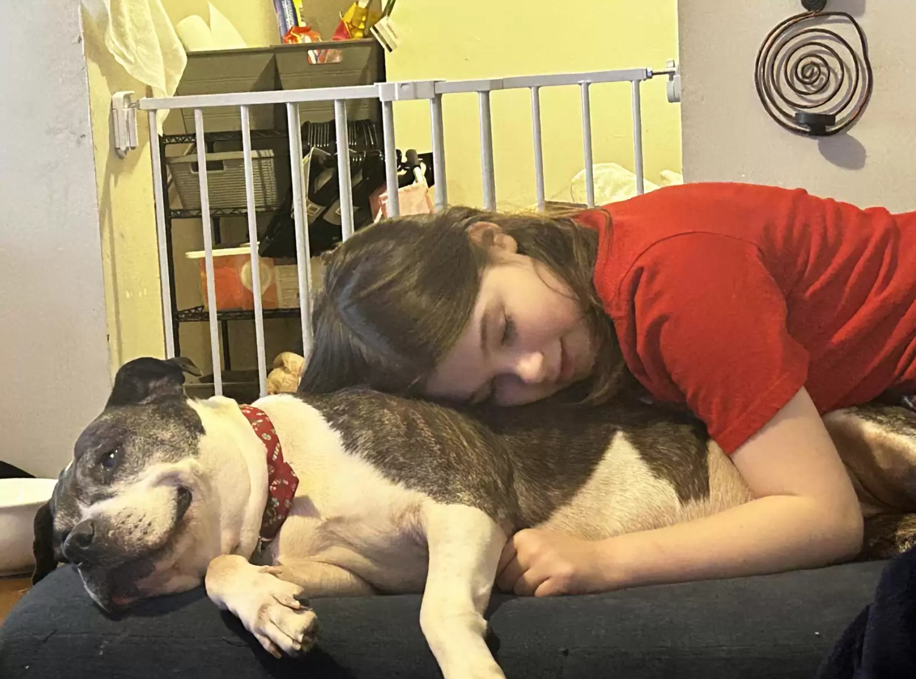 The Unexpected Twist in a Woman's Search for Her Lost Dog