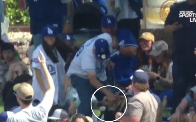 Unforgettable Moment: Dog's Epic Catch at Baseball Game Leaves Fans in Awe