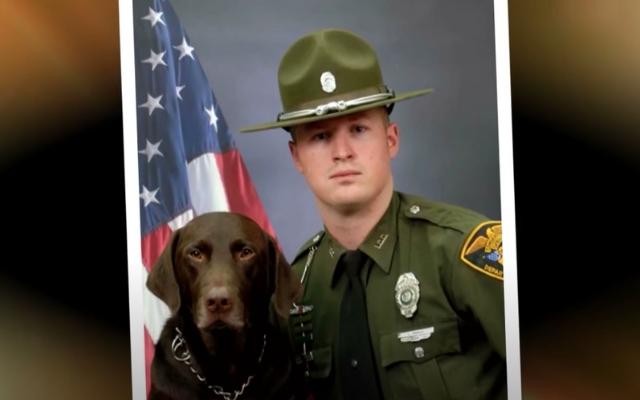 Unstoppable Affection: Police Dog Overwhelms Officer with Kisses During ...