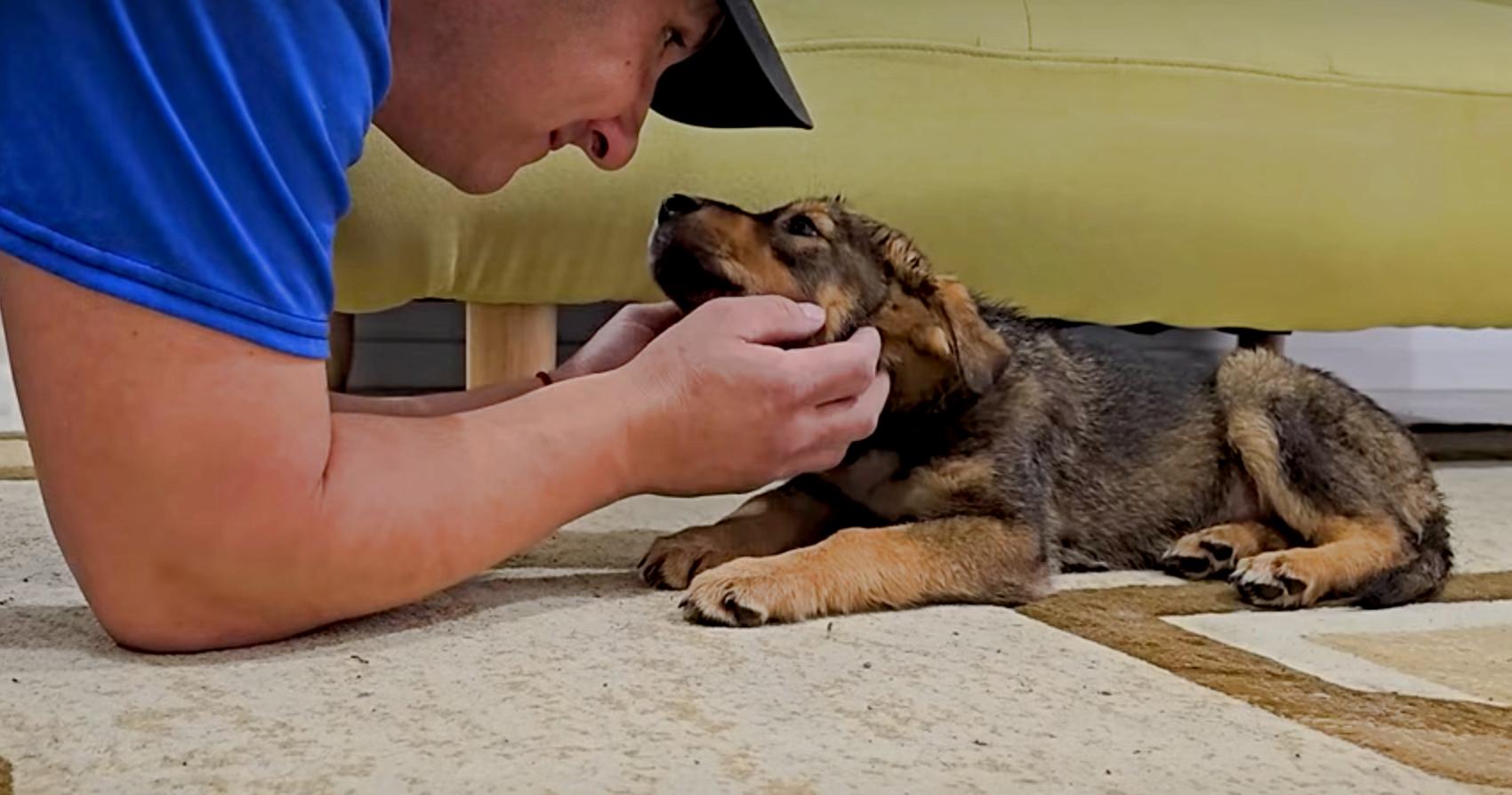 A Man's Promise Transforms a Puppy’s Pain into Hope and Healing