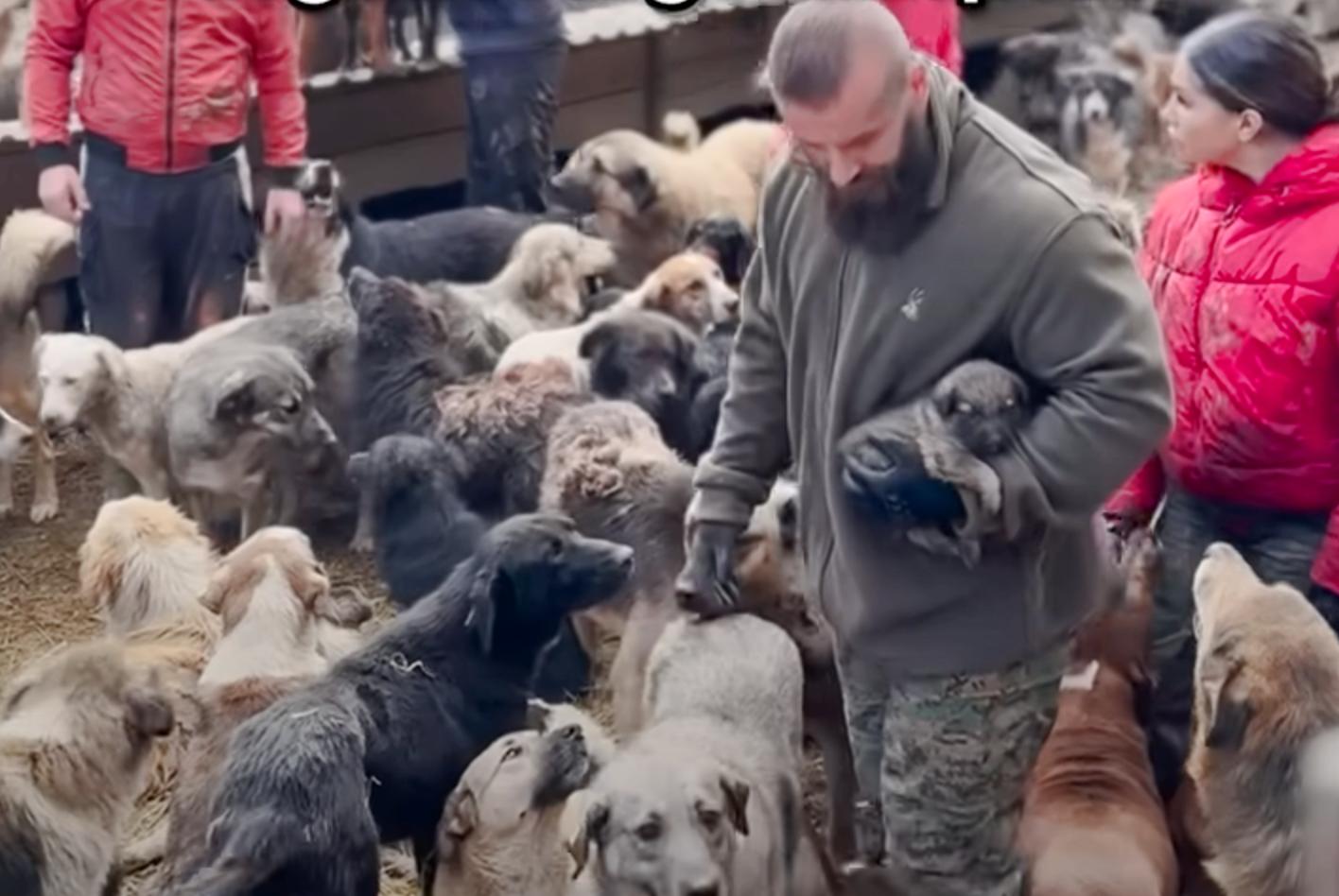 Man's Emotional Plea to Save Doomed Shelter Dogs Will Tug at Your ...