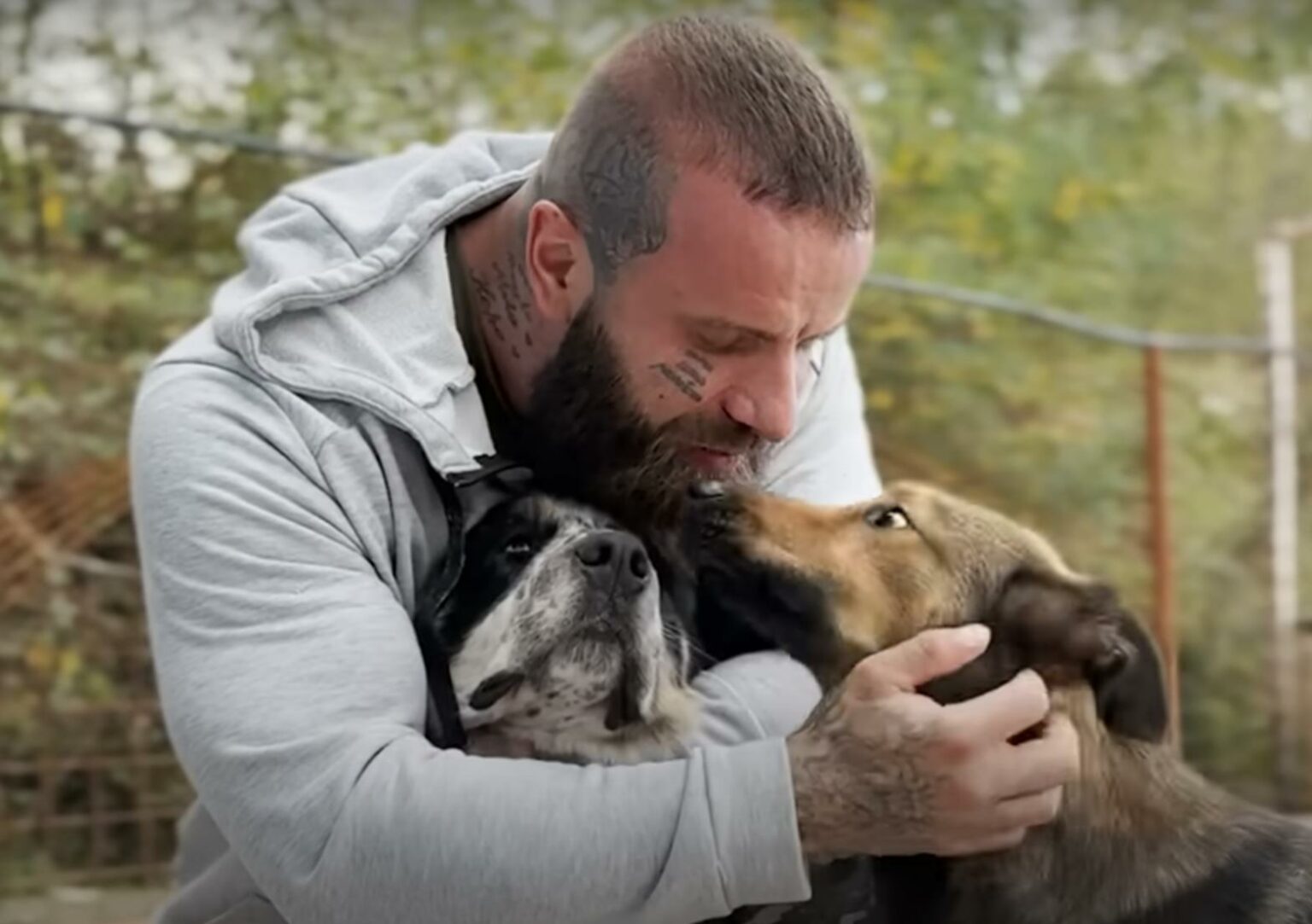 Man's Emotional Plea to Save Doomed Shelter Dogs Will Tug at Your ...