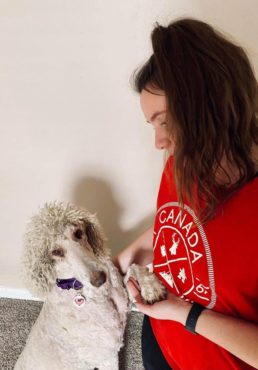 Rescued Poodle's Unbreakable Spirit: The Heartfelt Hugging Habit That ...
