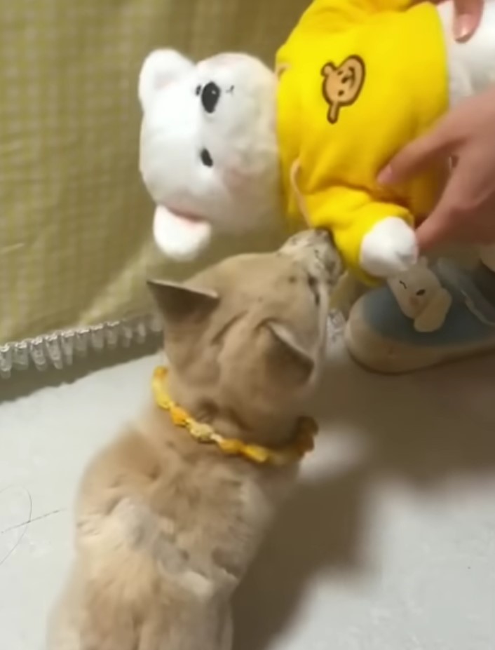 The Heart-Tugging Tale of a Shivering Pup Who Wouldn't Leave Without ...