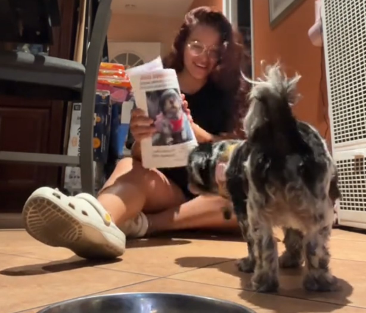 An Unforgettable Reunion: The Emotional Journey of a Missing Pup's Return