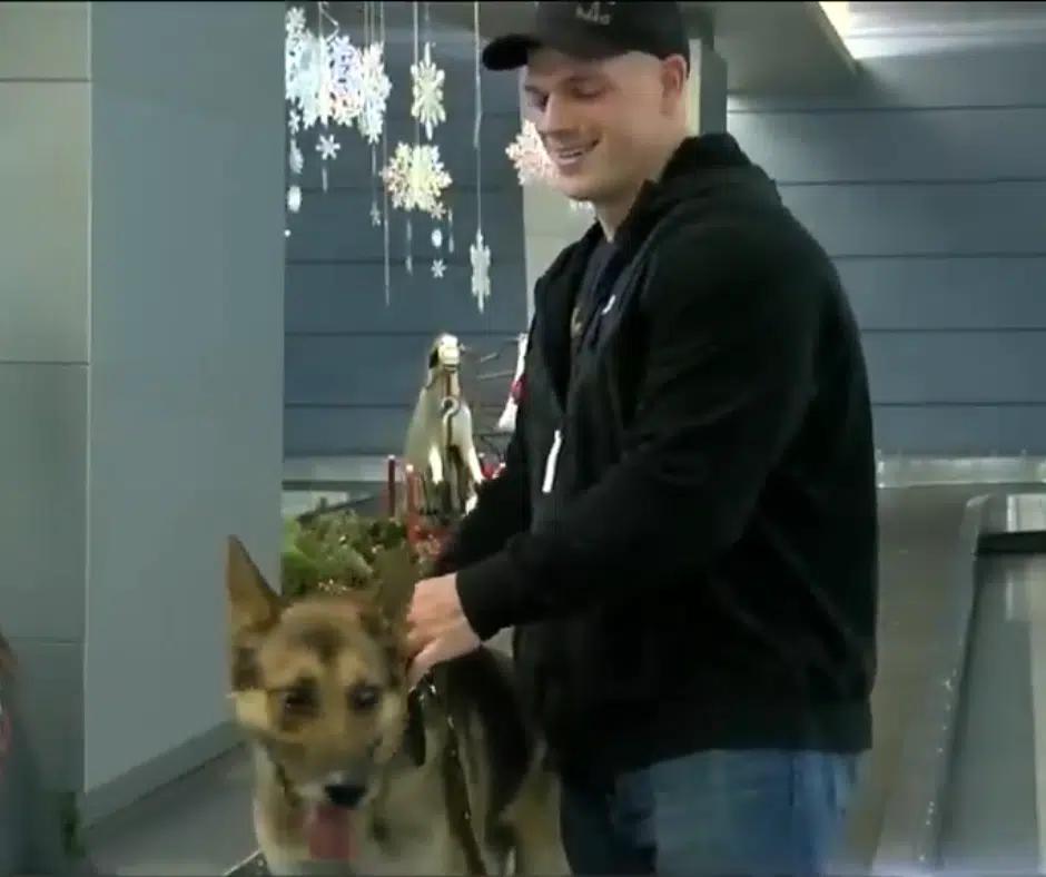 Emotional Reunion: Military Dog and Handler Reunite After Years Apart