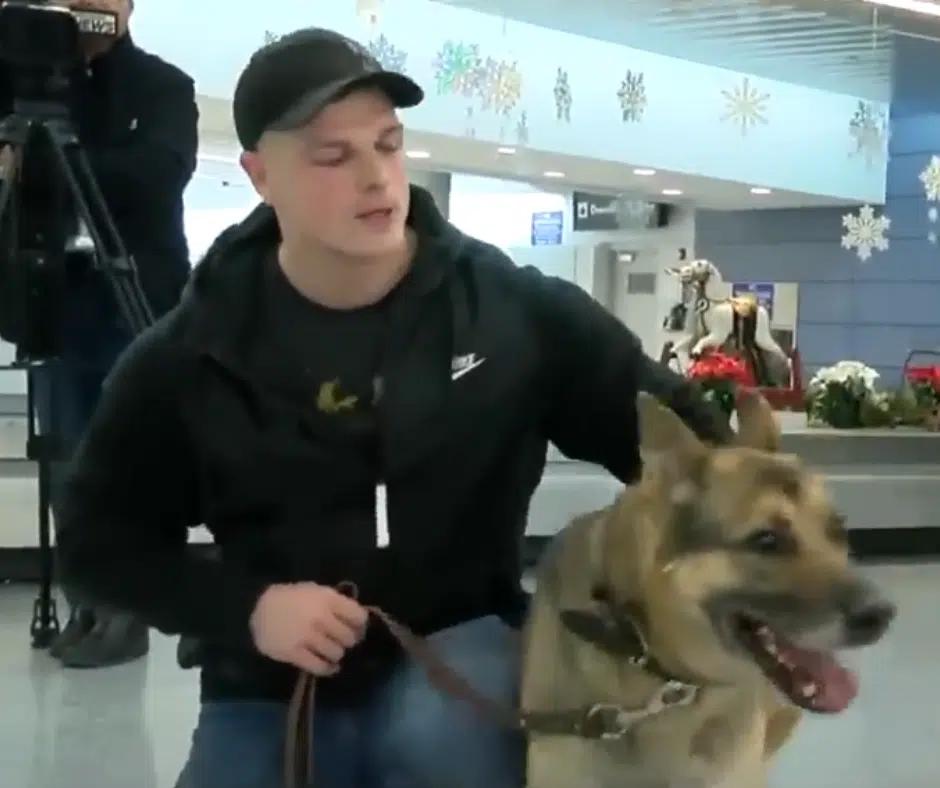 Emotional Reunion: Military Dog and Handler Reunite After Years Apart