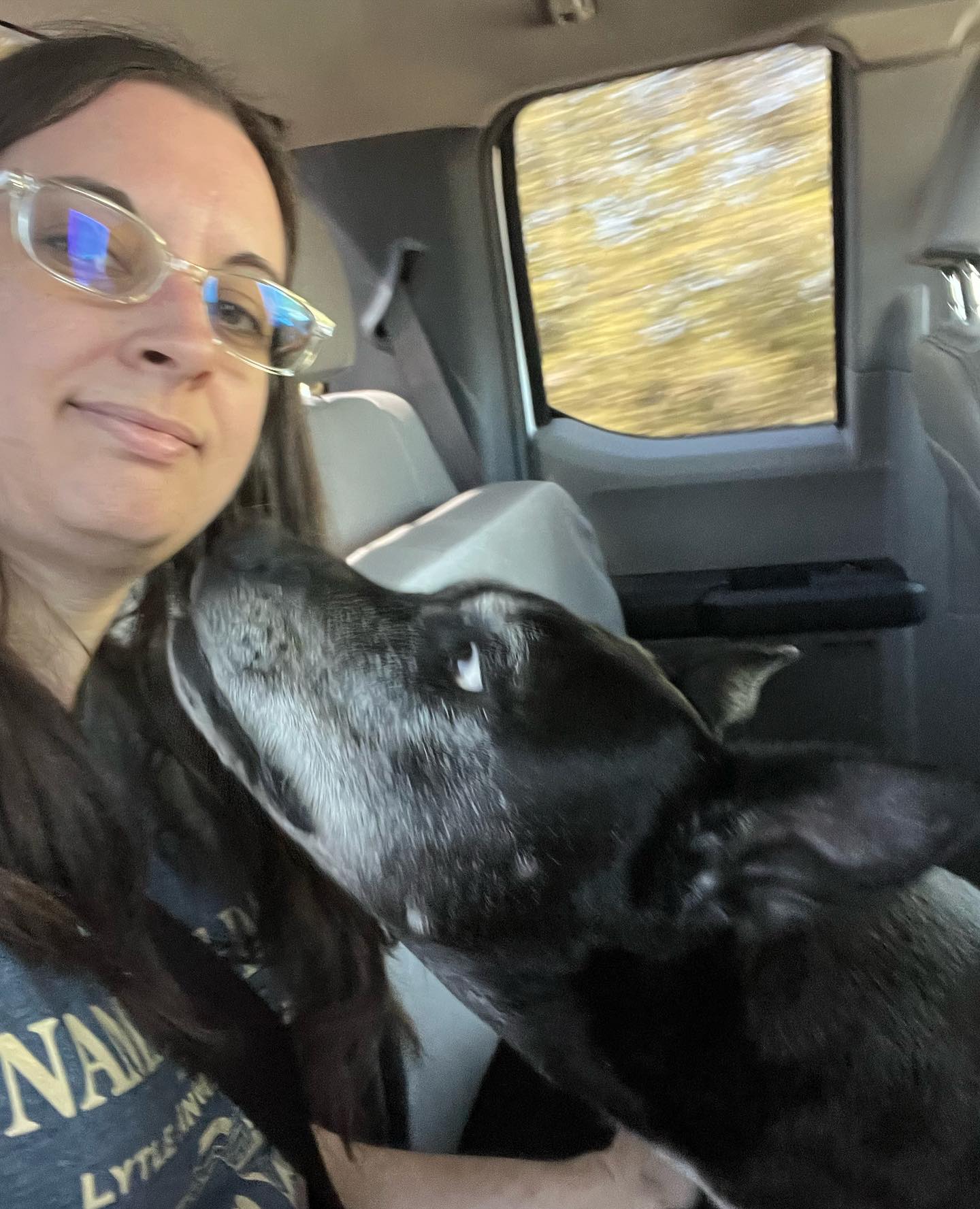 Shelter Staff's Secret: The Heartbreaking Tale of a Dog Hidden for ...