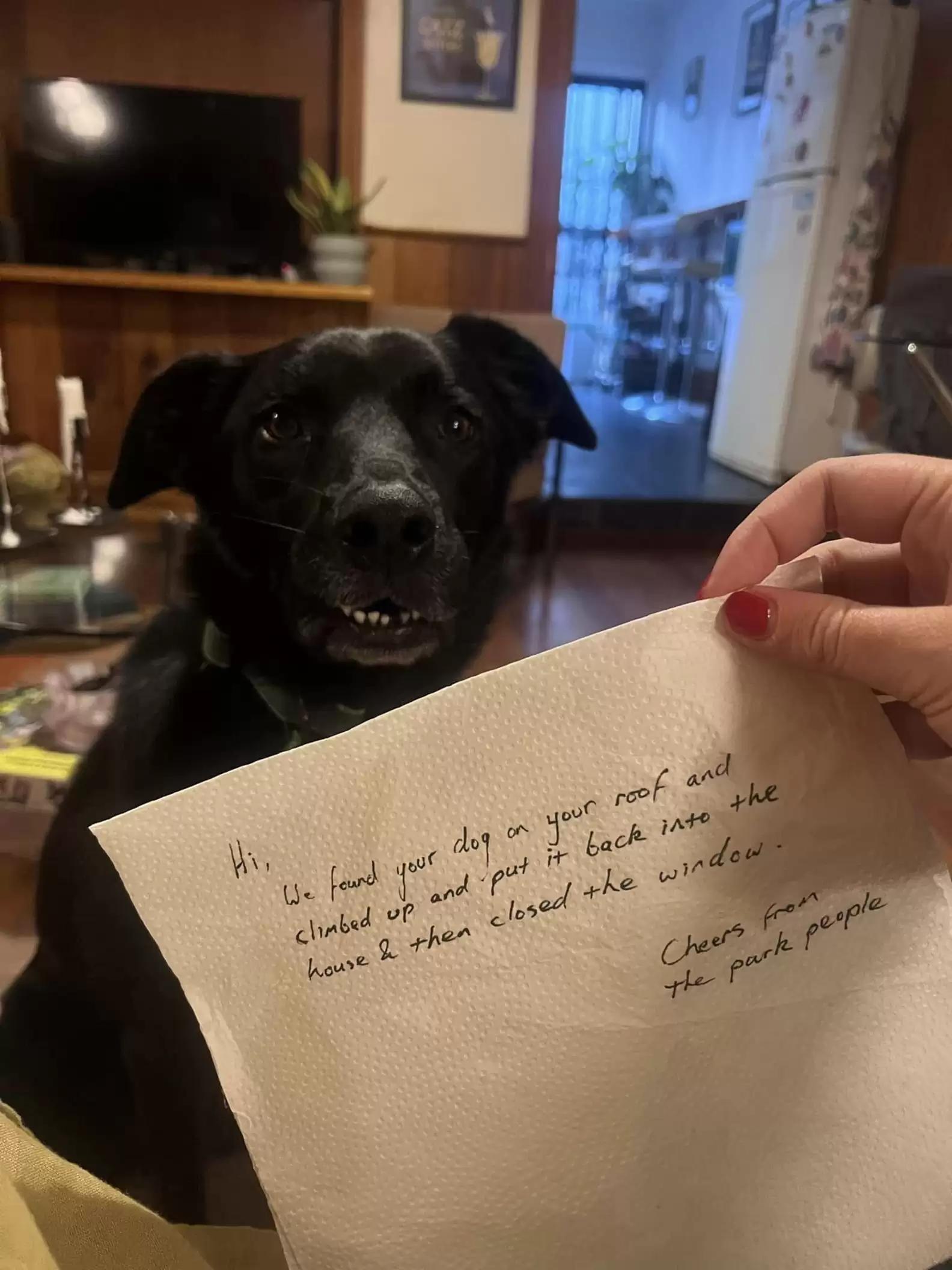 A Mysterious Note on Her Door Left Her Speechless About Her Beloved Dog