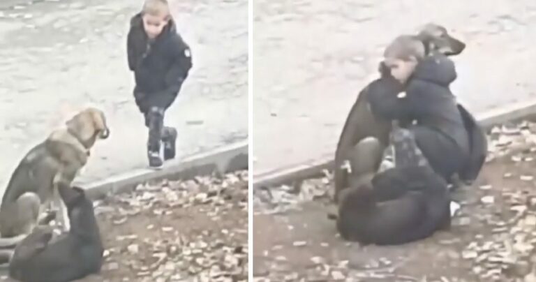 A Simple Act of Kindness: Little Boy's Daily Routine Will Move You to Tears
