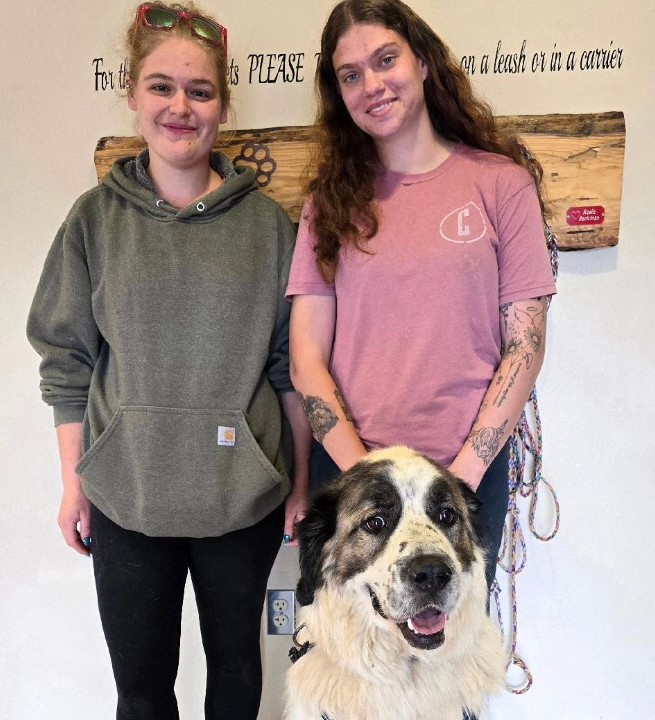 Emotional Twist: Long-Lost Dog’s Return Brings Family to Tears
